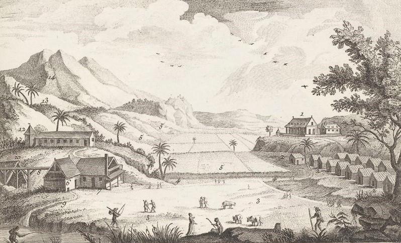 Le développement de l’économie « sucrière » et de l’esclavage dans les ...